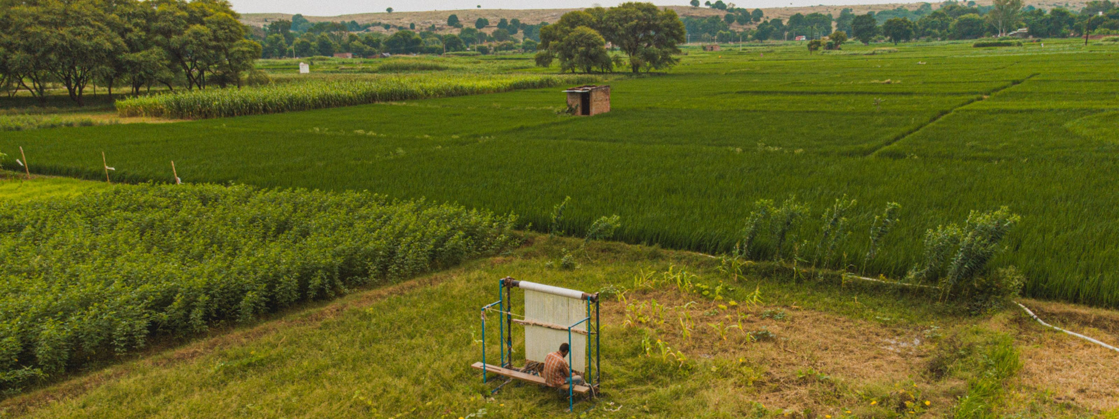 Obeetee: 100+ years as the world's leading source for handcrafted rugs